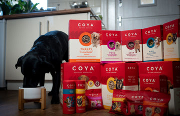 Home - COYA Pet Freeze-Dried Raw Dog Food