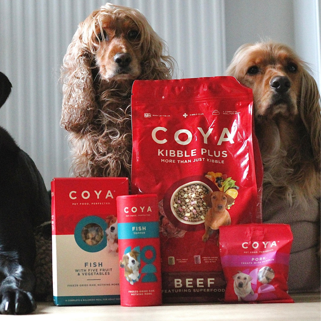 Best Barking Behaviour Bundle – COYA